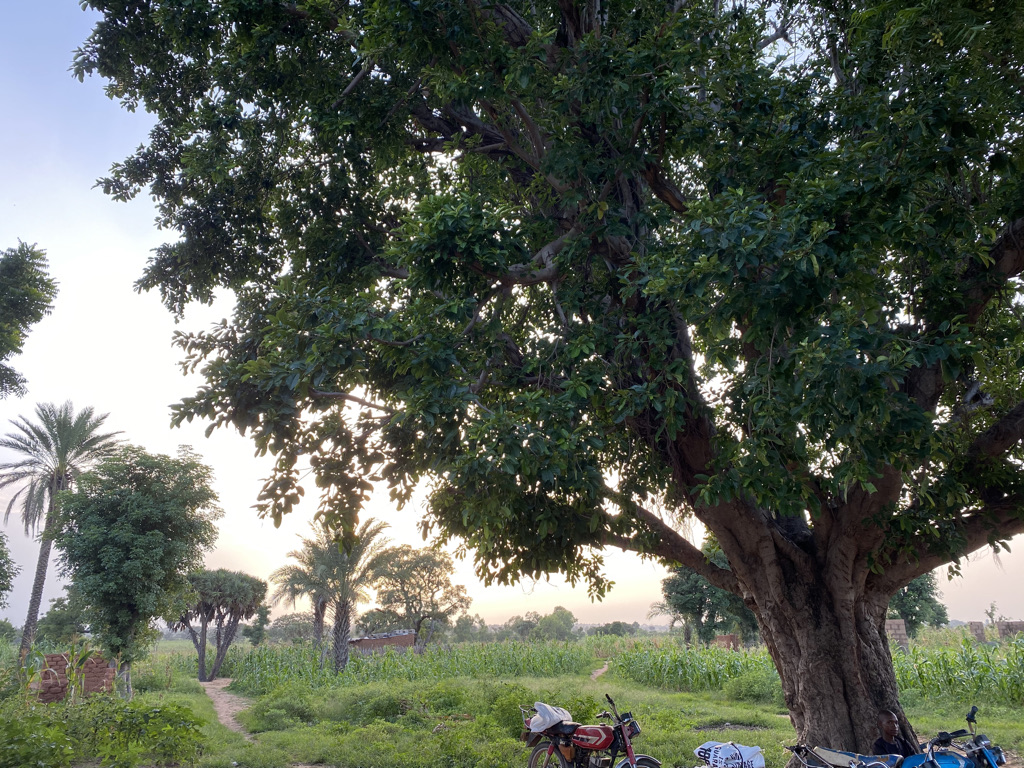 The Taimaka Project: Cost-effectively tackling childhood malnutrition ...